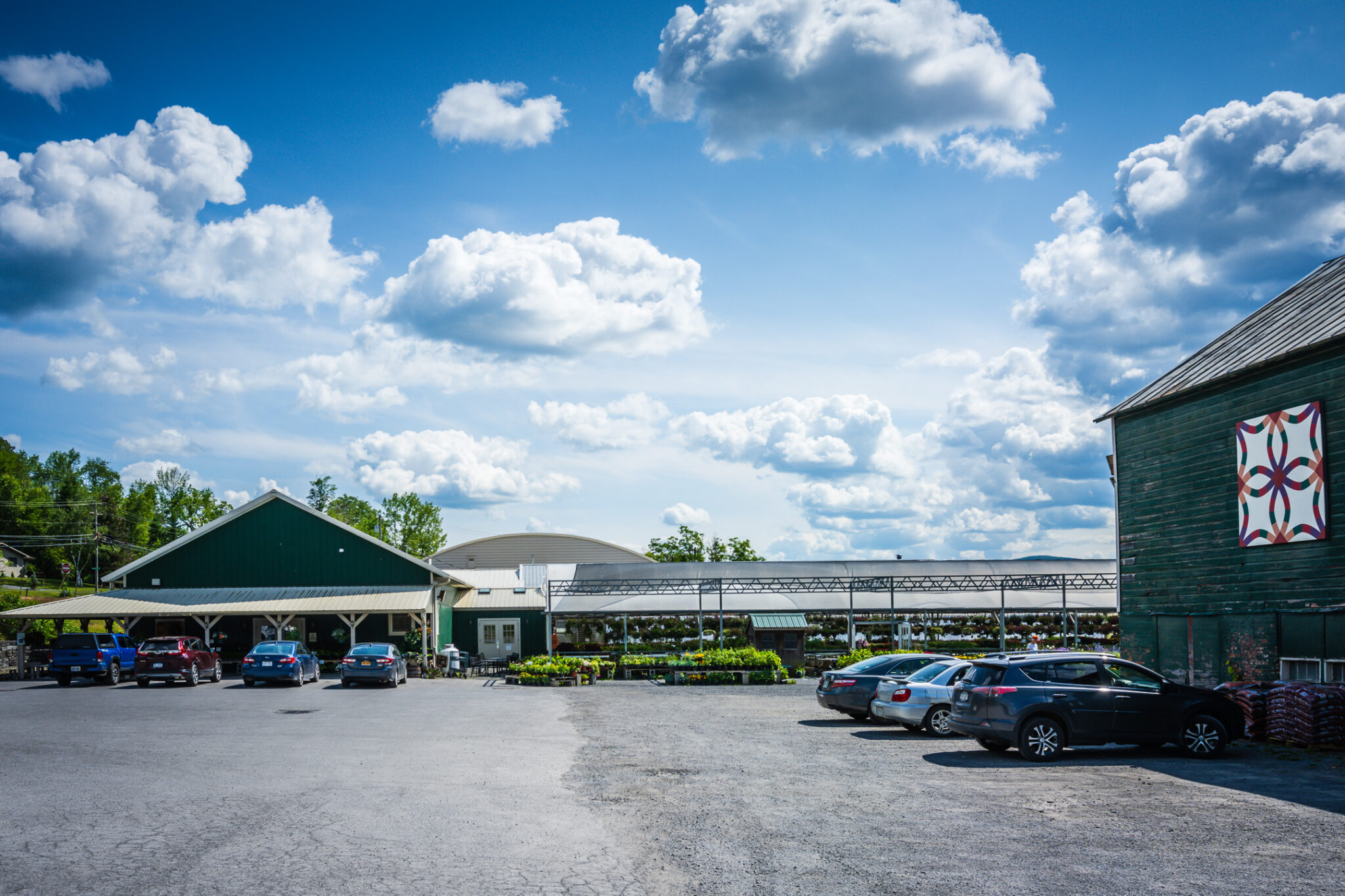 Albany Kid - Things To Do In Albany NY