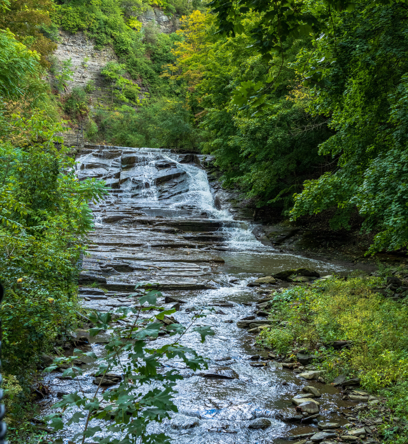 Year-Round Nature Destination: Cornell Botanic Gardens
